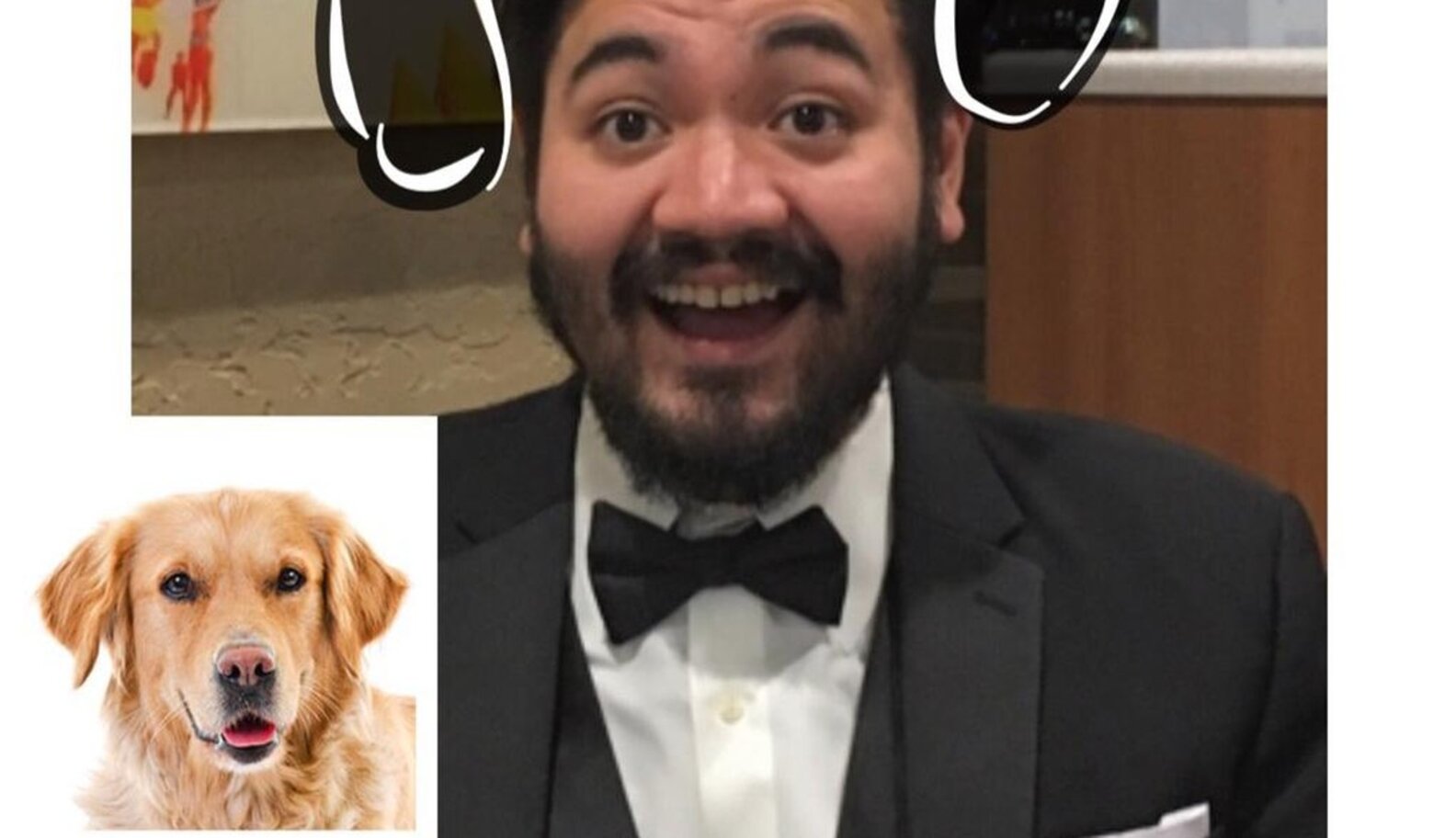 An App Can Now Tell You What Kind Of Dog You Look Like - The Dodo