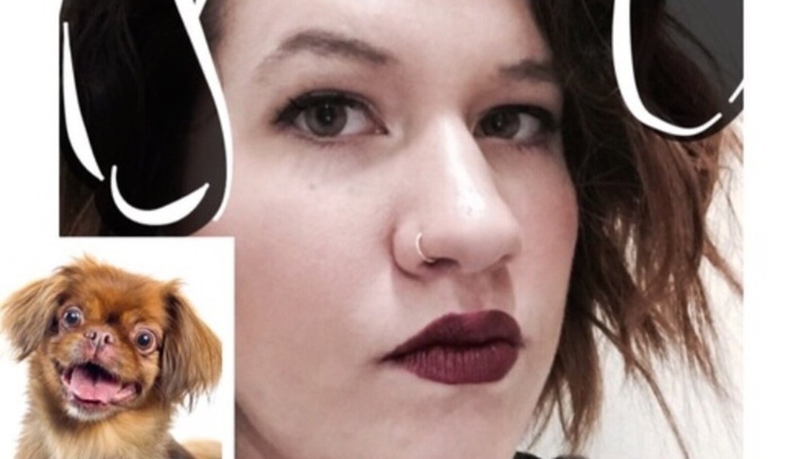 An App Can Now Tell You What Kind Of Dog You Look Like - The Dodo