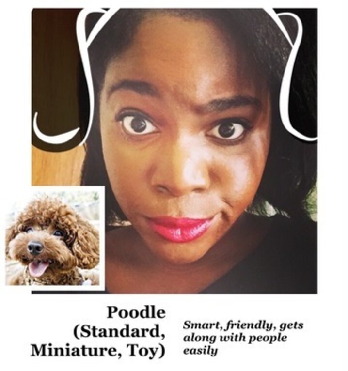 An App Can Now Tell You What Kind Of Dog You Look Like - The Dodo