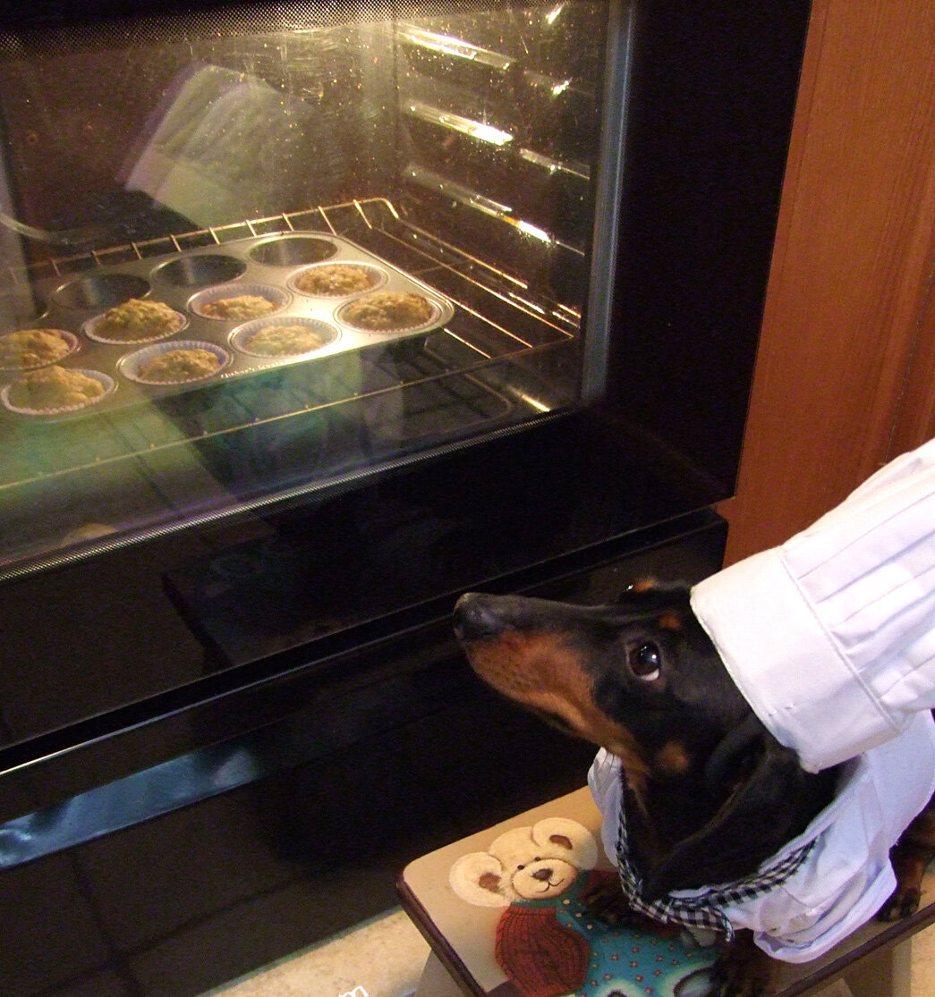 11 Pieces Of Breakup Advice From Dogs - The Dodo