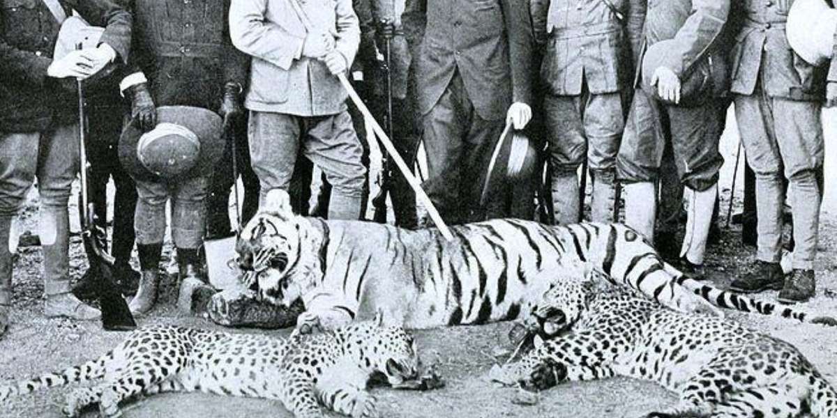 An Imperial History Of Canned Hunting - The Dodo