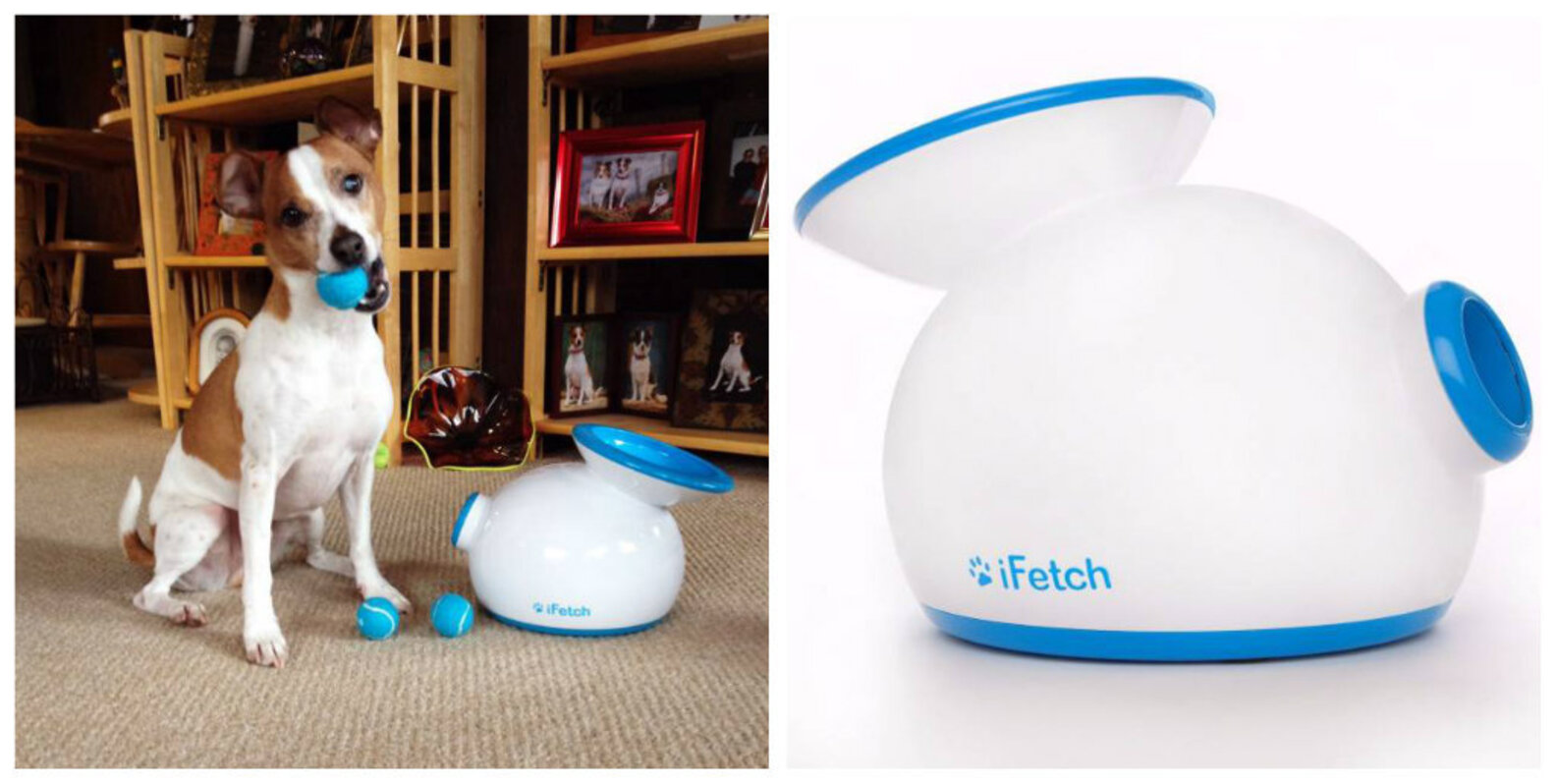 17 Genius Products Every Pet Owner Will Want - The Dodo