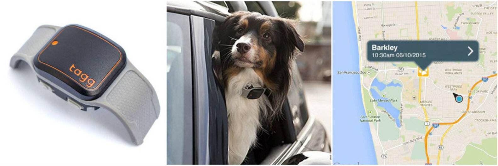 17 Genius Products Every Pet Owner Will Want - The Dodo