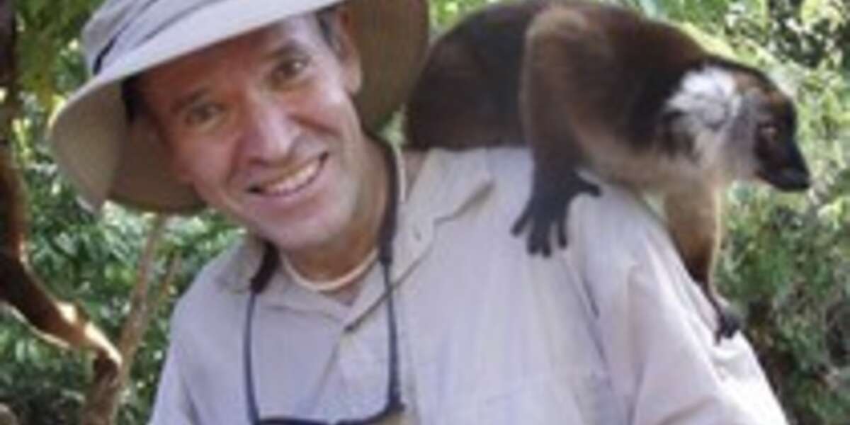 Don Pinnock - The Dodo