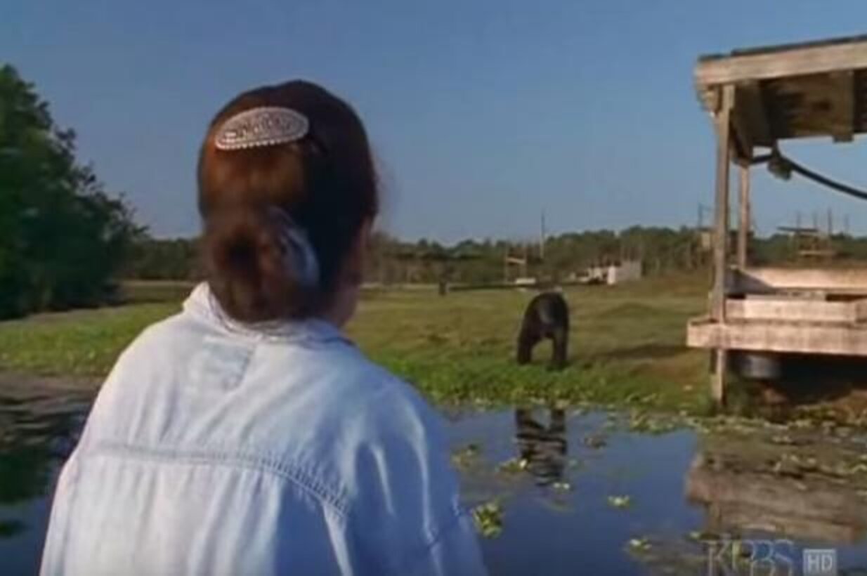 Chimp Hugs Woman Who Saved Her Life 20 Years Ago - The Dodo