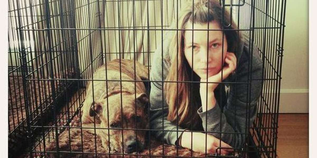 Jessica Biel's Pit Bull Might Be An Even Bigger Celeb Than Her Human ...