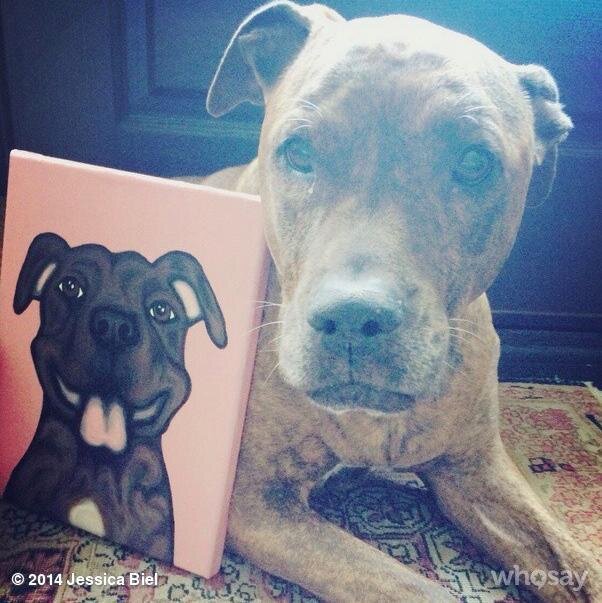Jessica Biel's Pit Bull Might Be An Even Bigger Celeb Than Her Human ...
