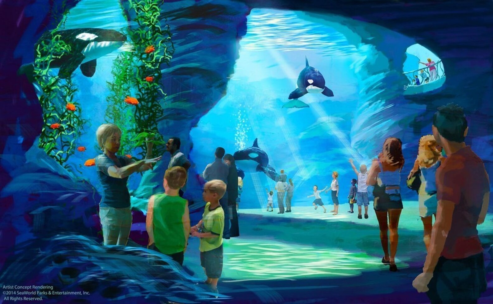 7 Reasons Why SeaWorld Is Tanking - The Dodo