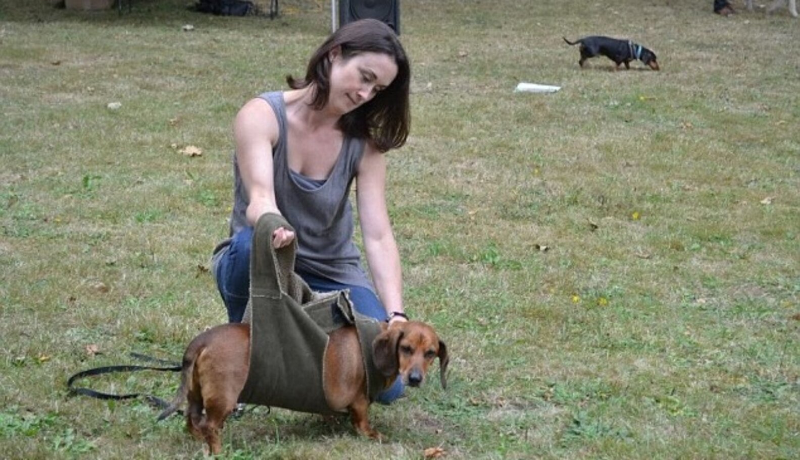 FELLOW'S PITCH: Meet Obie, The Weight-Loss Star Formerly Known As The ...