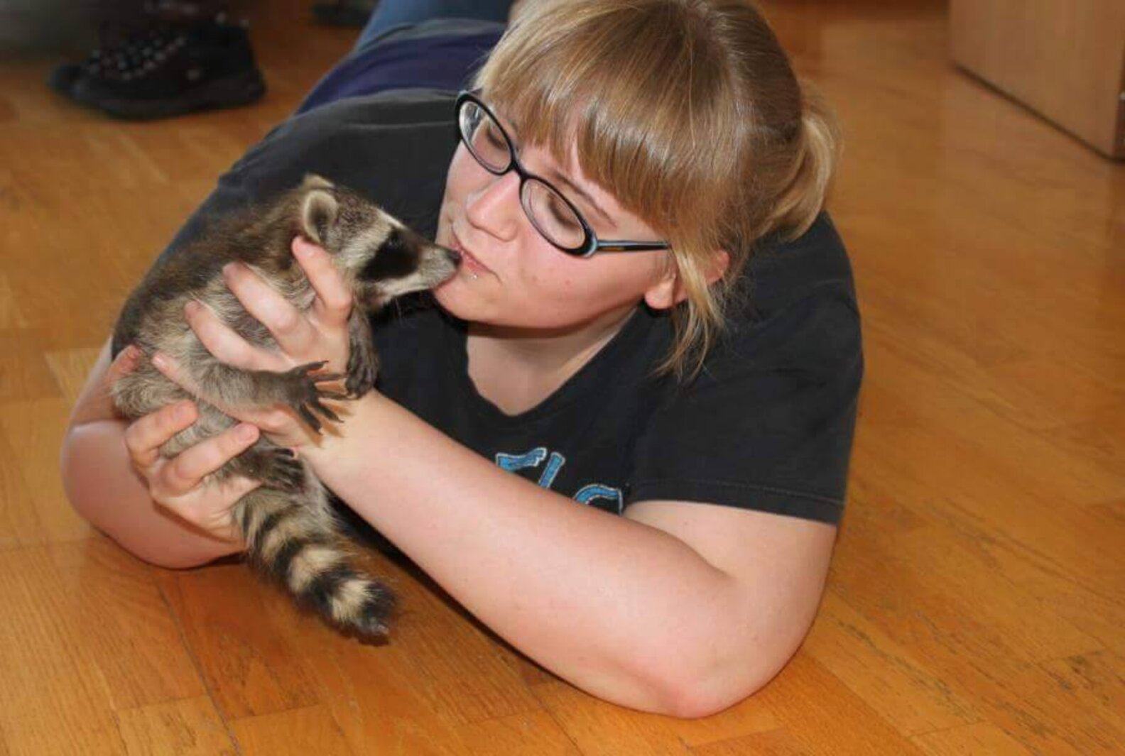 Rescue Raccoon Returns To The Wild Thanks To A Woman And Her Cat - The Dodo