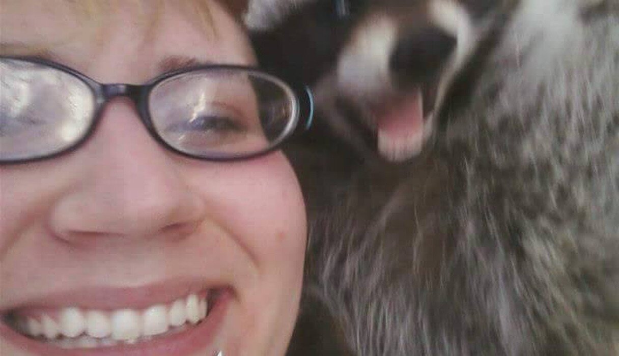 Rescue Raccoon Returns To The Wild Thanks To A Woman And Her Cat - The Dodo