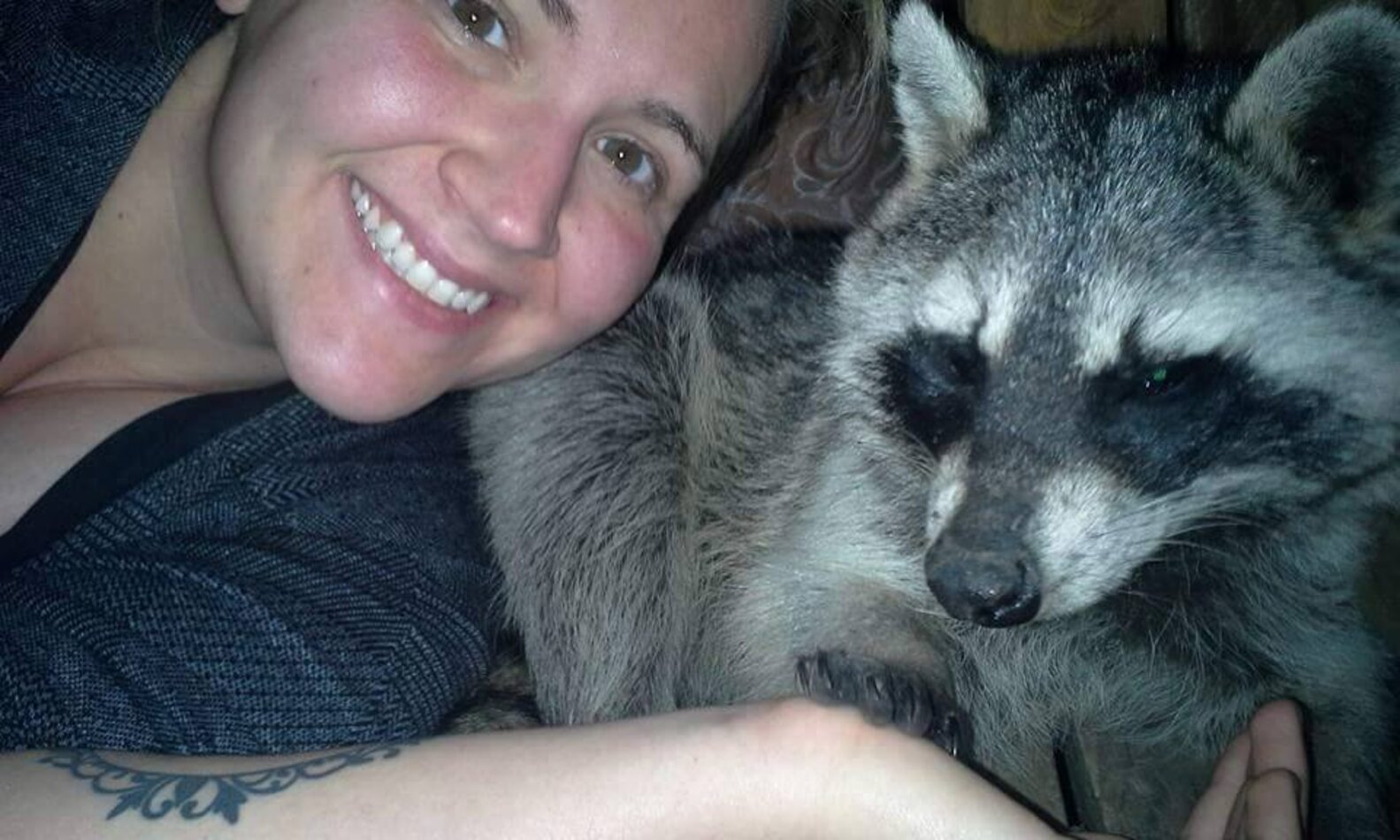 Rescue Raccoon Returns To The Wild Thanks To A Woman And Her Cat - The Dodo