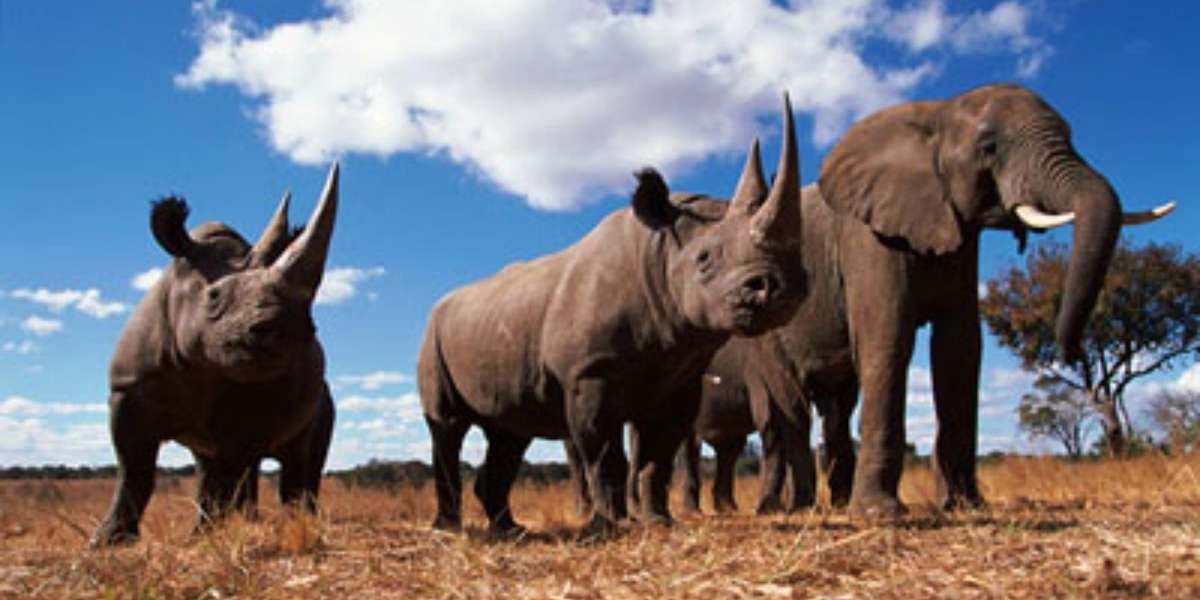 John Kasich, Ohio State House, Ohio State Senate, Marilyn Slaby, Marcia ...