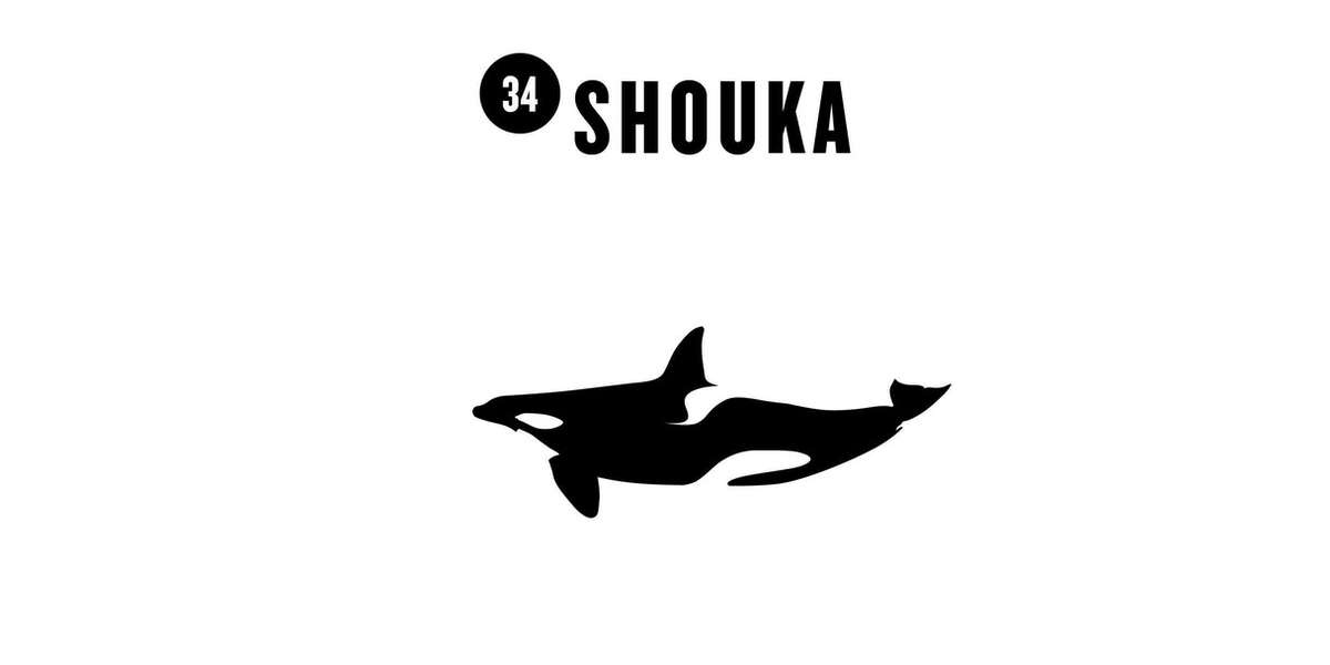 A Week For Every Whale #34. Shouka - The Dodo
