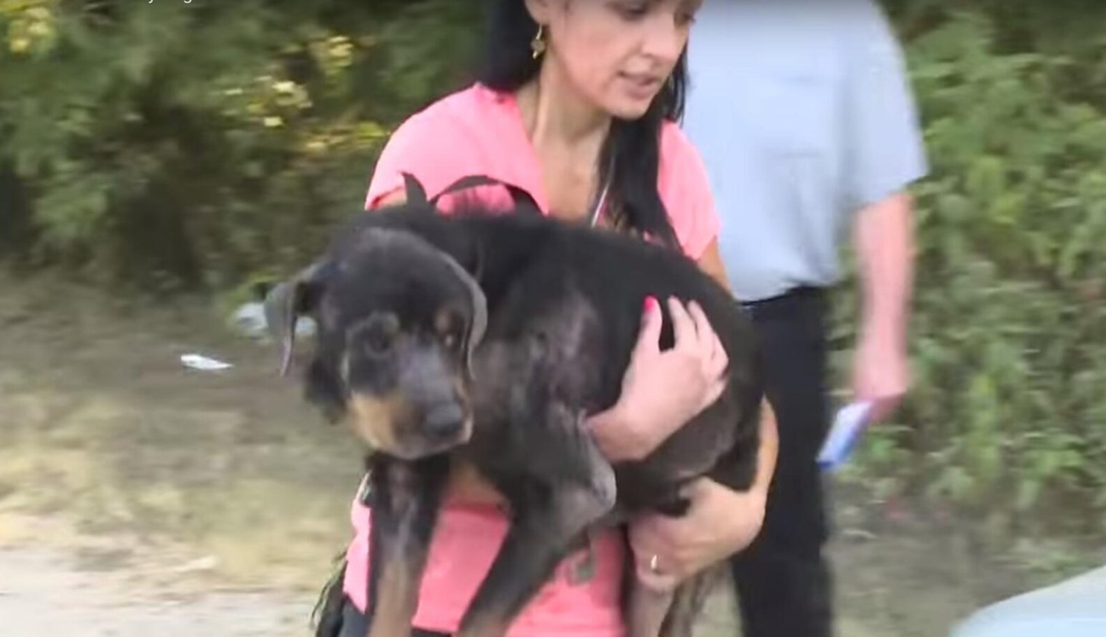 Dog Found Alive During News Report In Boneyard Of Discarded Pets - The Dodo