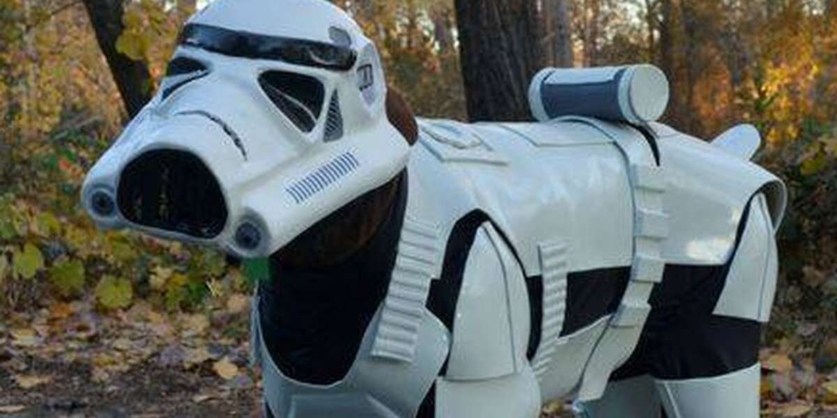 Woman Spent 'Hundreds Of Hours' To Build The Perfect Dog Costume - The Dodo