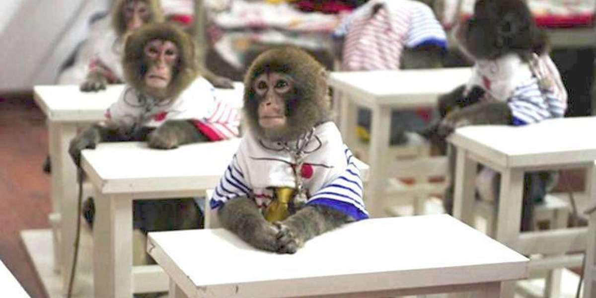 Inside The 'School' Where The Students Are Chained To Their Desks - The ...