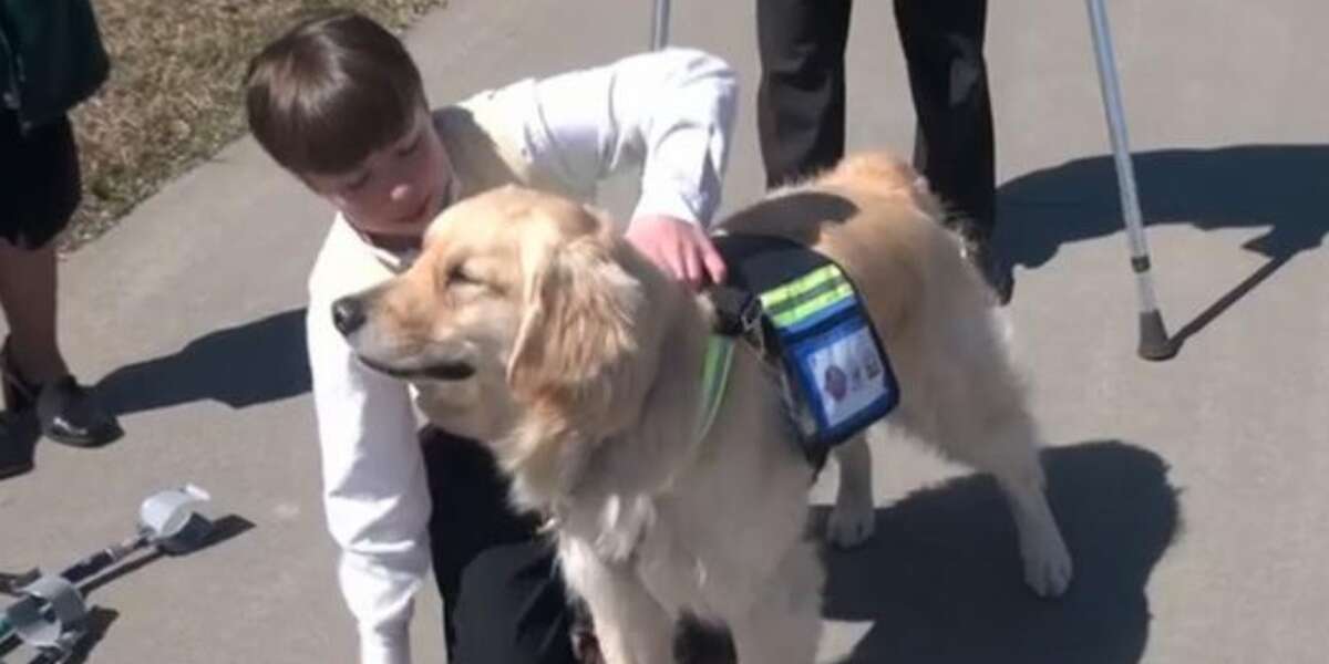 Young Boy Gets New Service Dog Thanks To Kind Classmate - The Dodo
