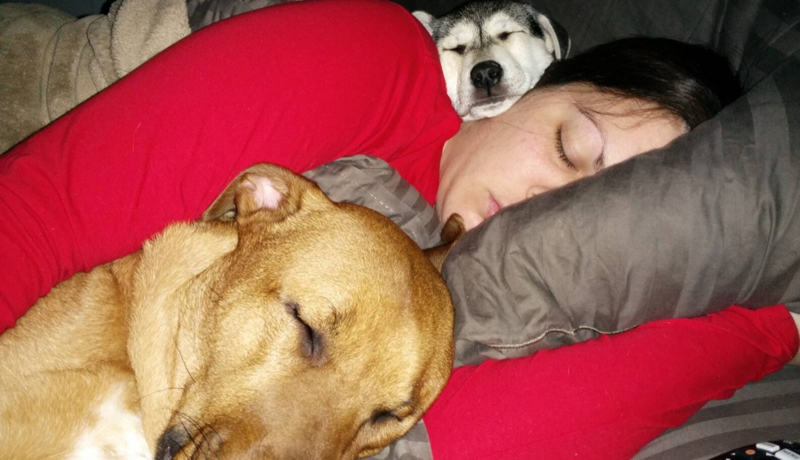 14 Times When Pets Knew You Needed Cheering Up - The Dodo