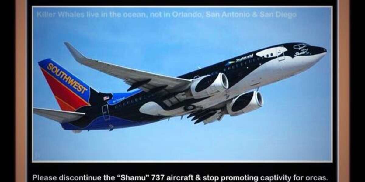 Really, @SouthwestAir? Stop promoting @SeaWorld on your planes. You ...