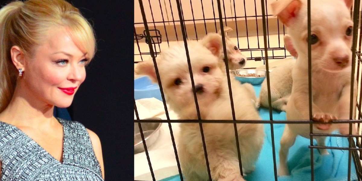 An Interview With Actress Charlotte Ross On Fostering And Animal ...