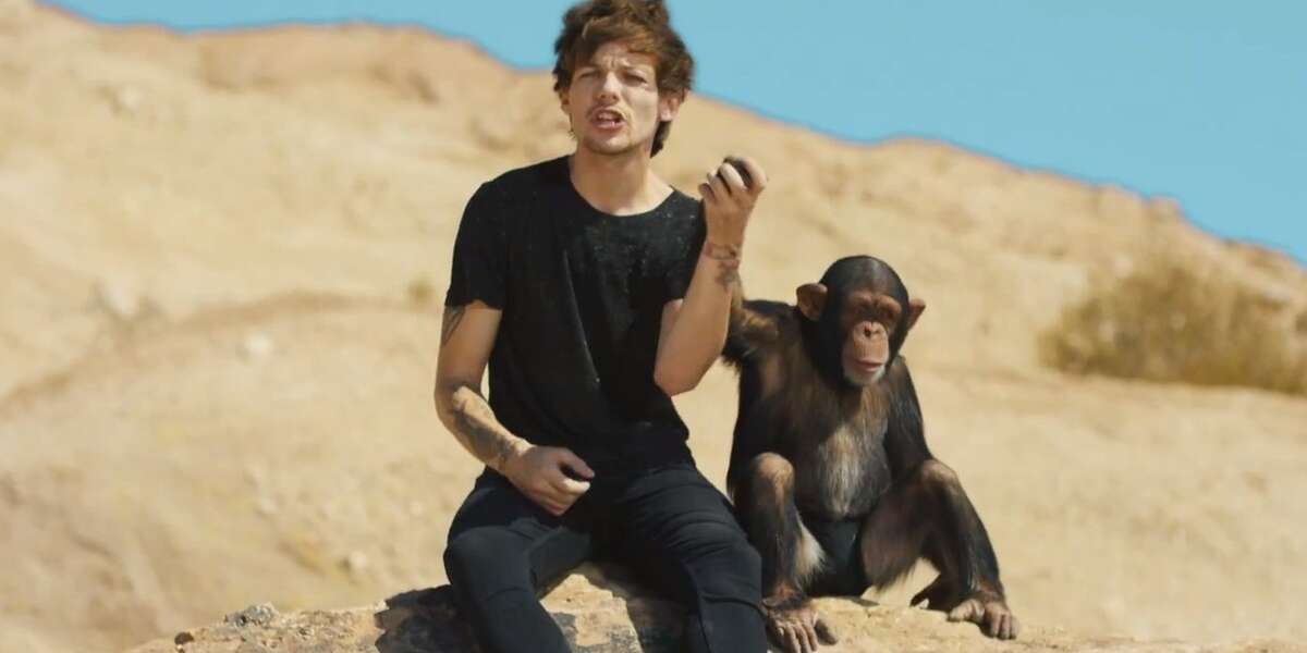 Boy Band One Direction Makes A Wrong Turn In Music Video - The Dodo