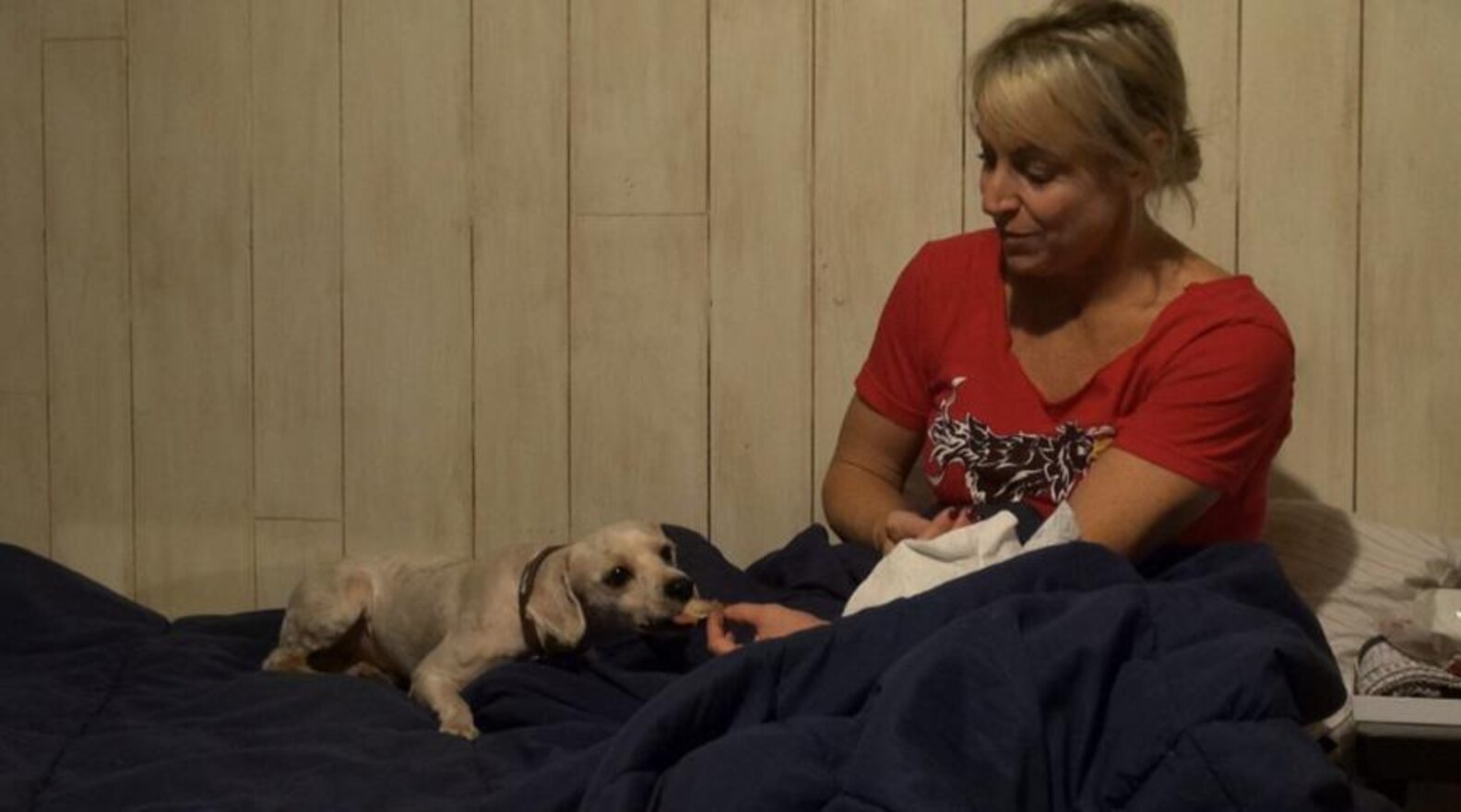 Frightened Street Dog Loses 3 Pounds Of Fur — And Gains A Little Hope ...