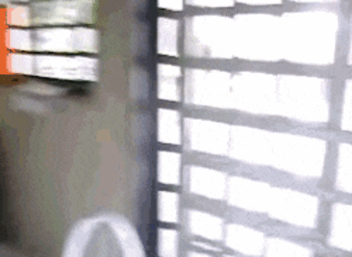 Guard Dog Gets Caught Sleeping On The Job, And No Amount Of Shame Will ...