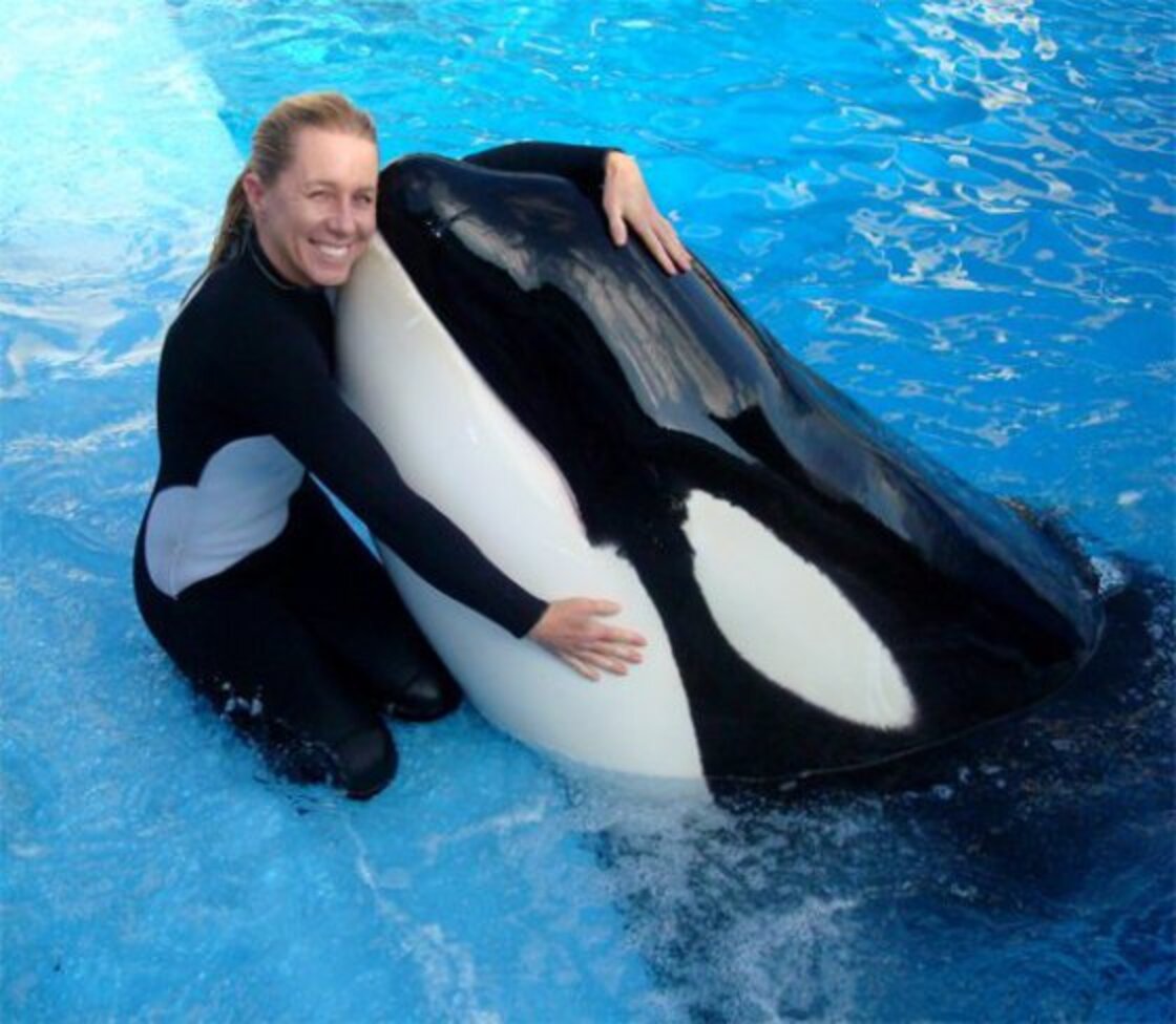 Kim Ashdown @azephyrgirl = ex-SeaWorld trainer in #Blackfish ...