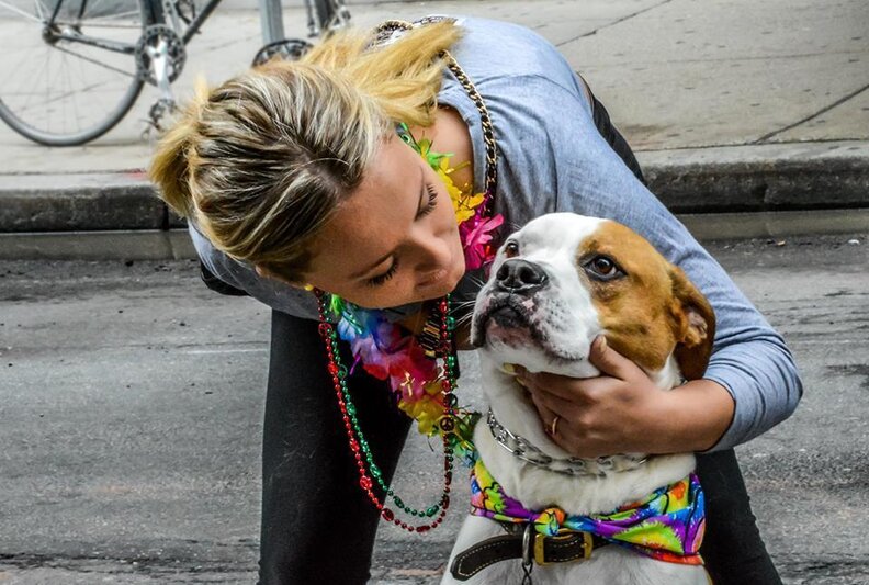 Pit Bulls March With Pride To Destroy Stereotypes - The Dodo