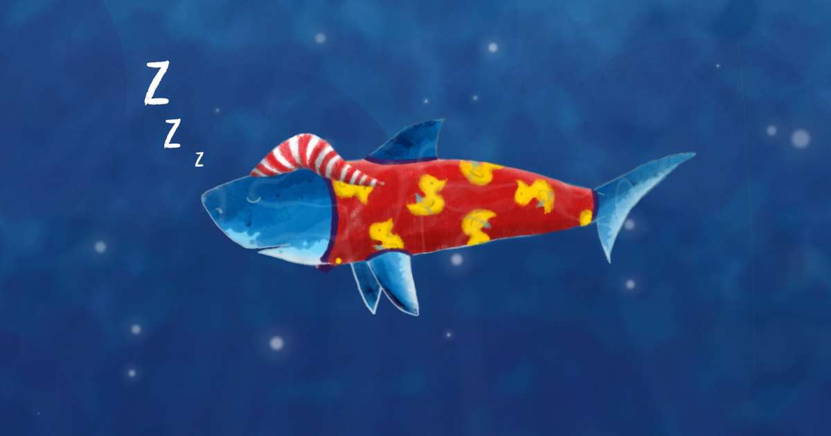 Do Sharks Sleep While They Swim? It's Called Yoyo Swimming - The Dodo