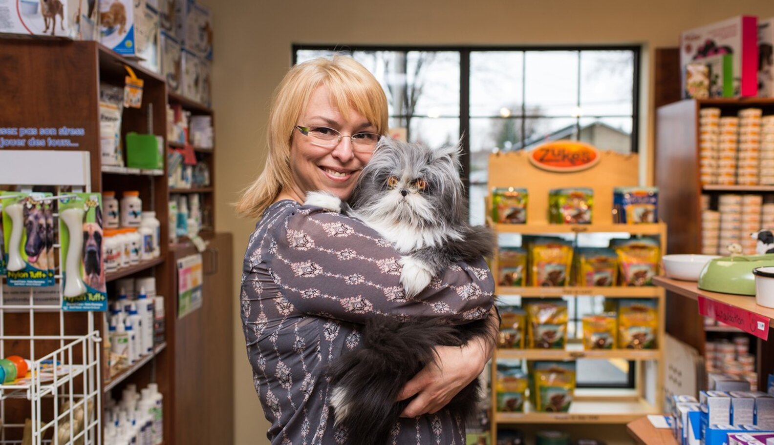 A Day In The Life Of 12 Internet-Famous Cats - The Dodo