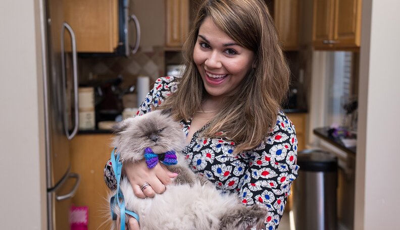 A Day In The Life Of 12 Internet-Famous Cats - The Dodo