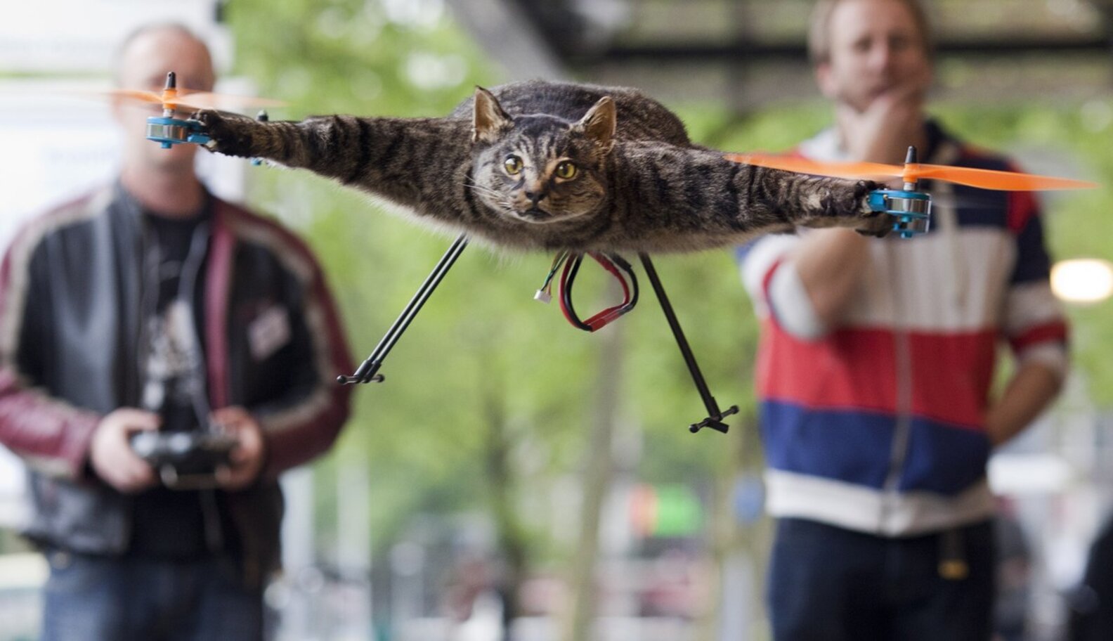 If You Love Animals, This Device Will Horrify You - The Dodo