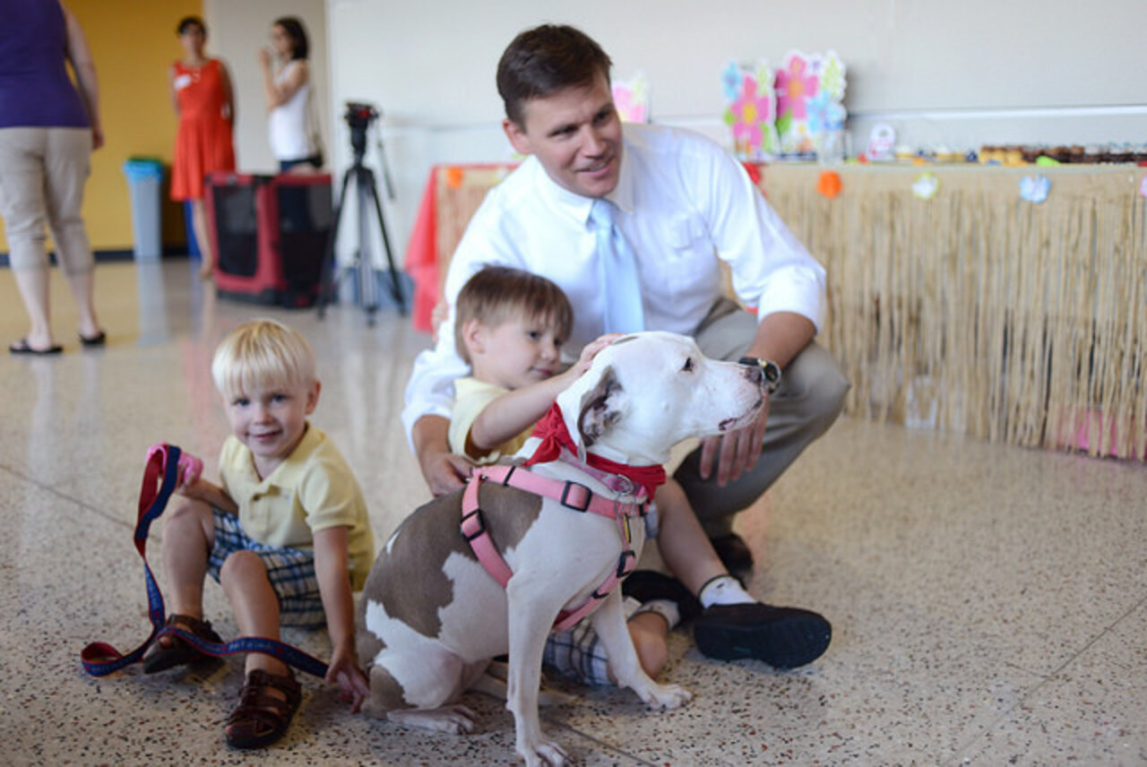 Special Dogs Teach Kids That It's OK To Be Different - The Dodo