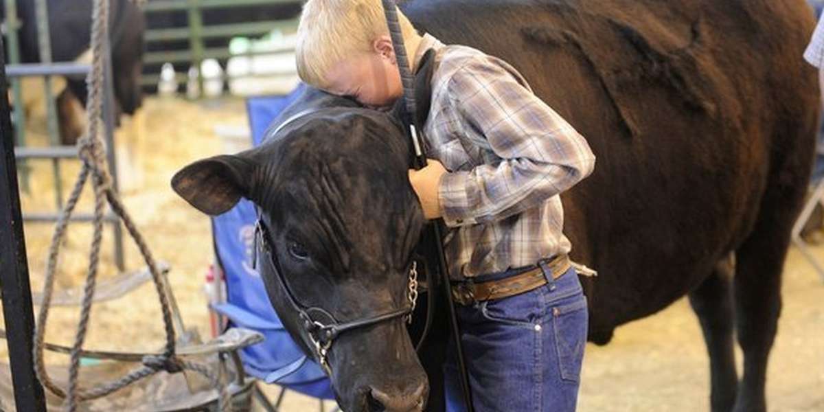 Boy Wasn't Ready For Their Friendship To End Like This - The Dodo