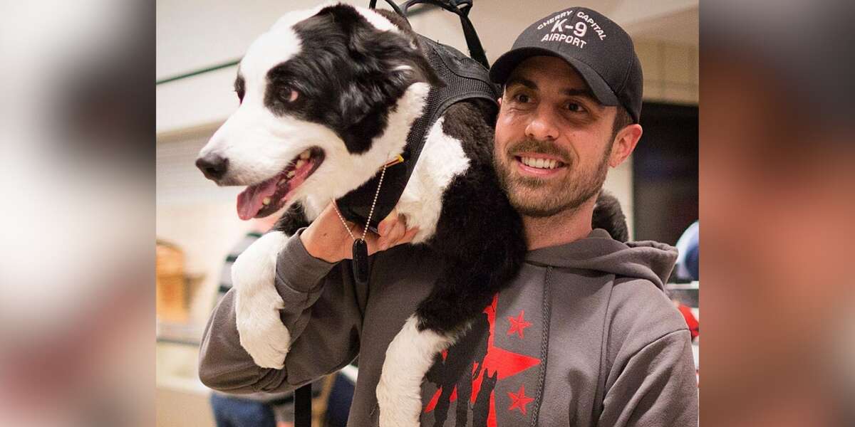 This Dog Works With His Dad Every Day - Videos - The Dodo