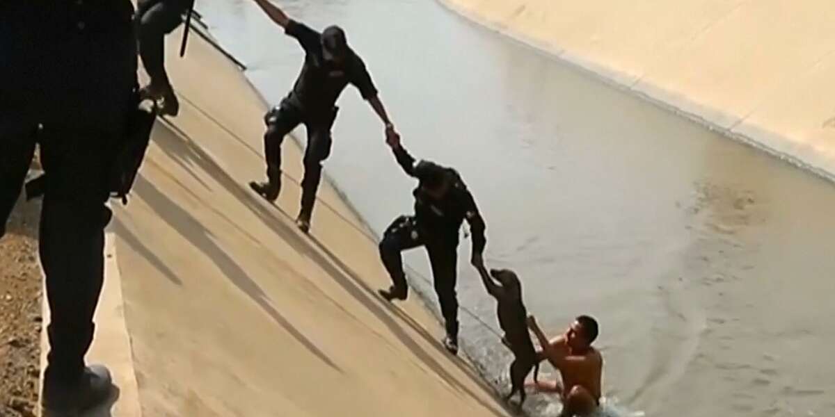 Cops Form Human Chain To Save Stranded Dog - The Dodo