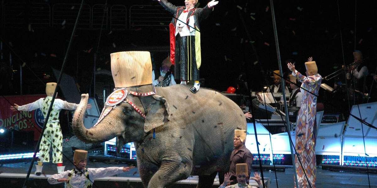 After Years Of Protests, Ringling Bros. Finally Takes The Hint [Updated ...