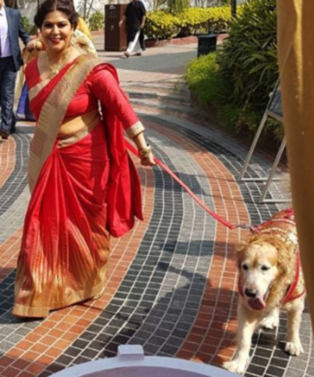 Bride Invites Her Dog To Her Wedding — And It Couldn't Be More Perfect ...