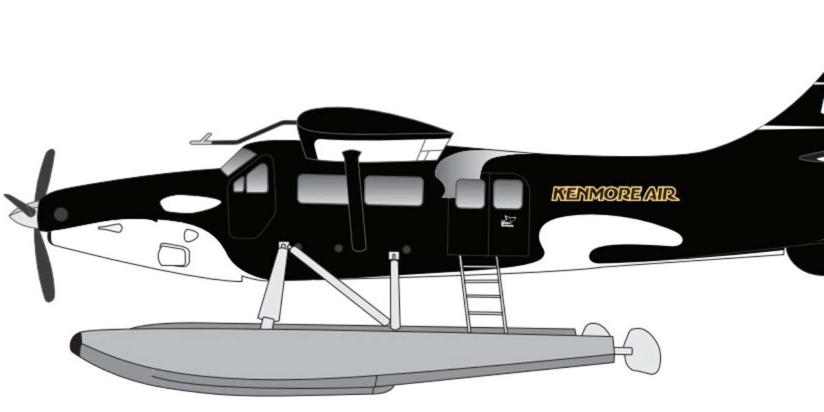 SeaPlane Gets A Makeover To Raise Awareness For Wild Orcas - The Dodo