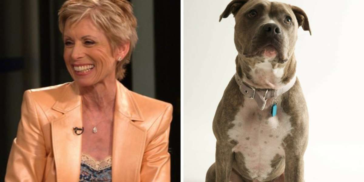 Terrible Talk Show Host Dr. Laura Calls For All Pit Bulls To Be Killed ...