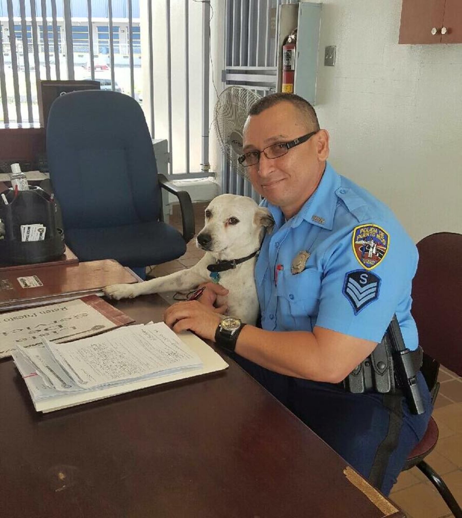 Stray Dog Walks Into Police Station, Finds His Forever Family - The Dodo