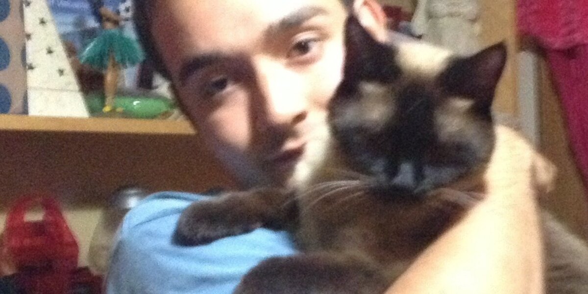 Mike Salmond - The Dodo