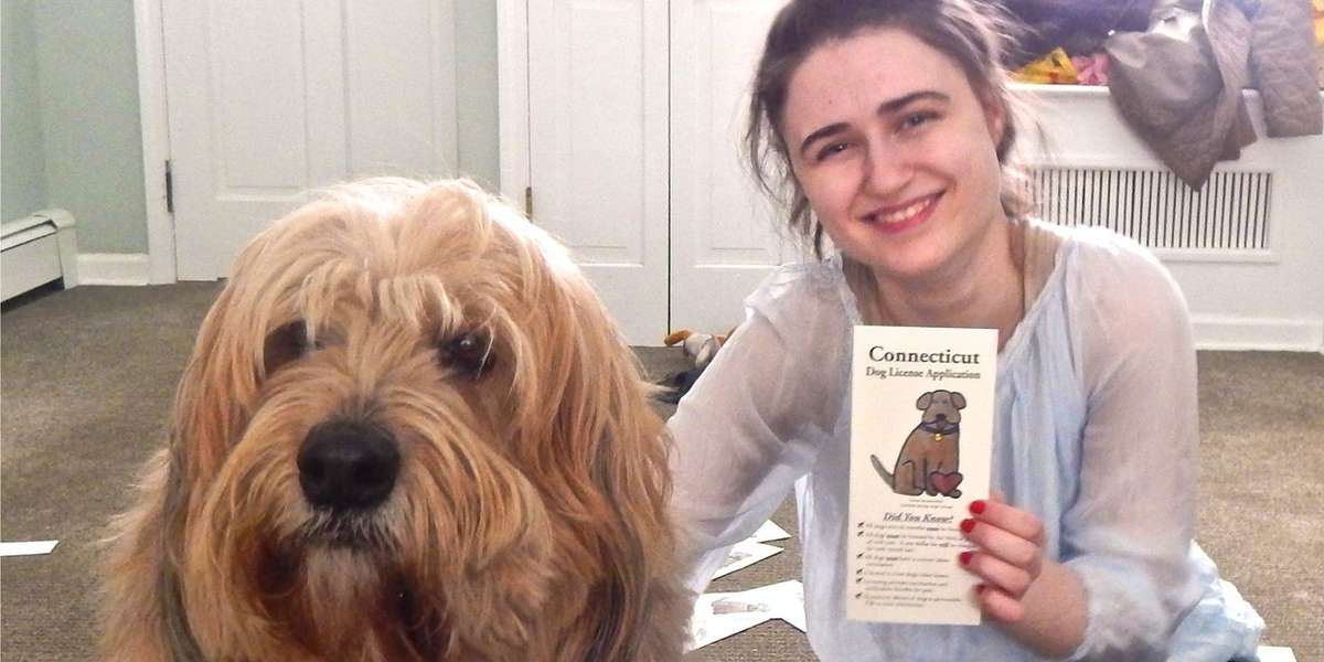 Young Woman's Art Is Saving Dogs' Lives - The Dodo