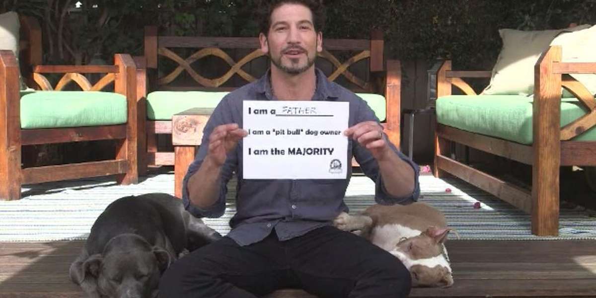 The Real Truth About Pit Bull Owners - The Dodo