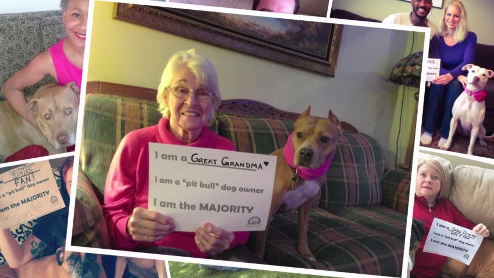 The Real Truth About Pit Bull Owners - The Dodo