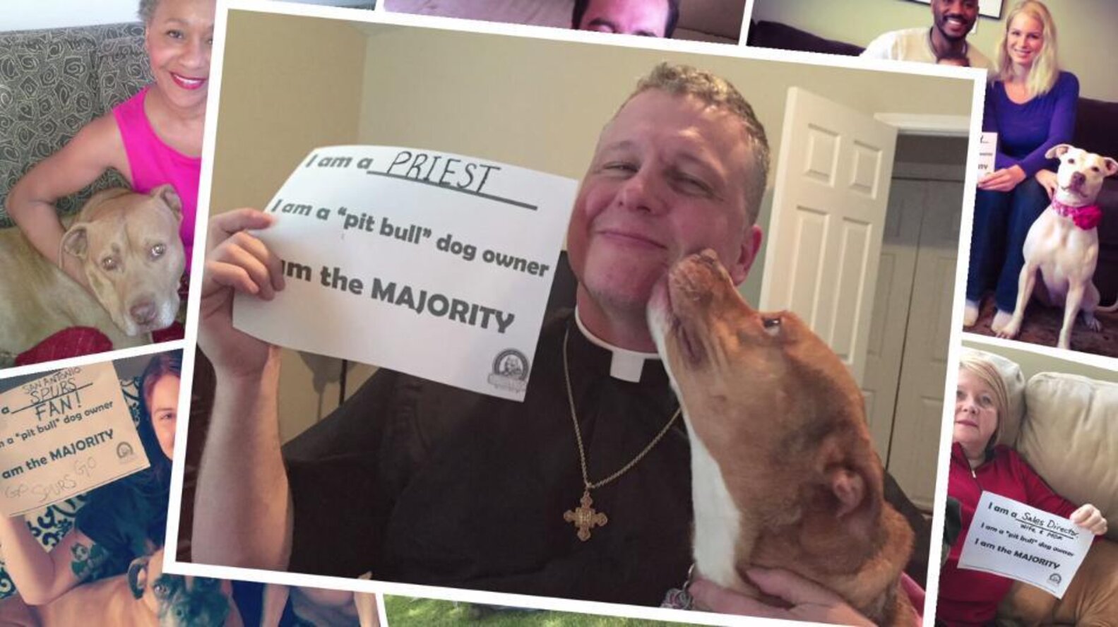 The Real Truth About Pit Bull Owners - The Dodo