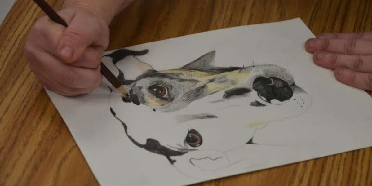 How These Portraits Are Helping Animals Get Adopted - The Dodo