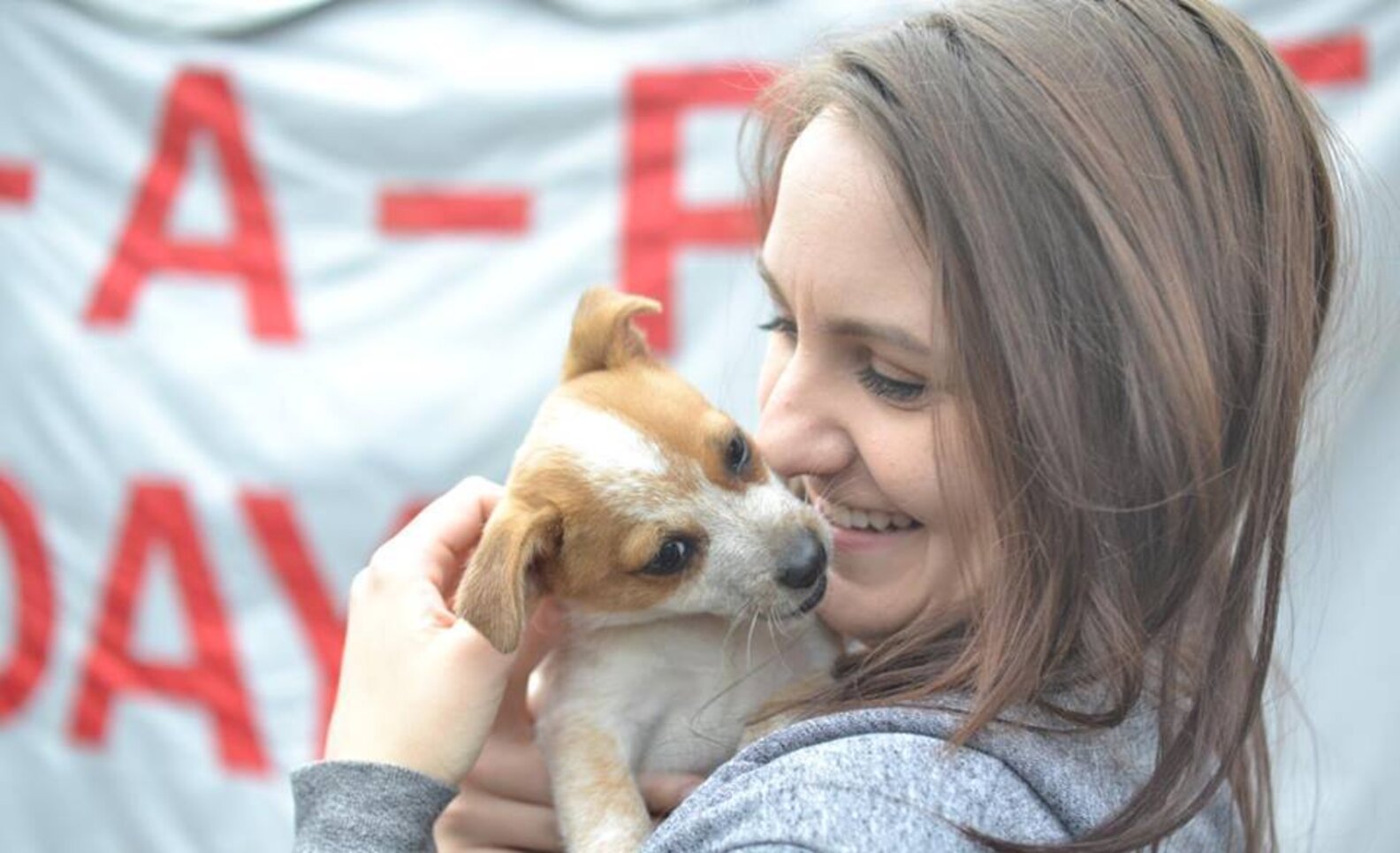 Proof That Rescues Are The Best Breed, Hands Down - The Dodo